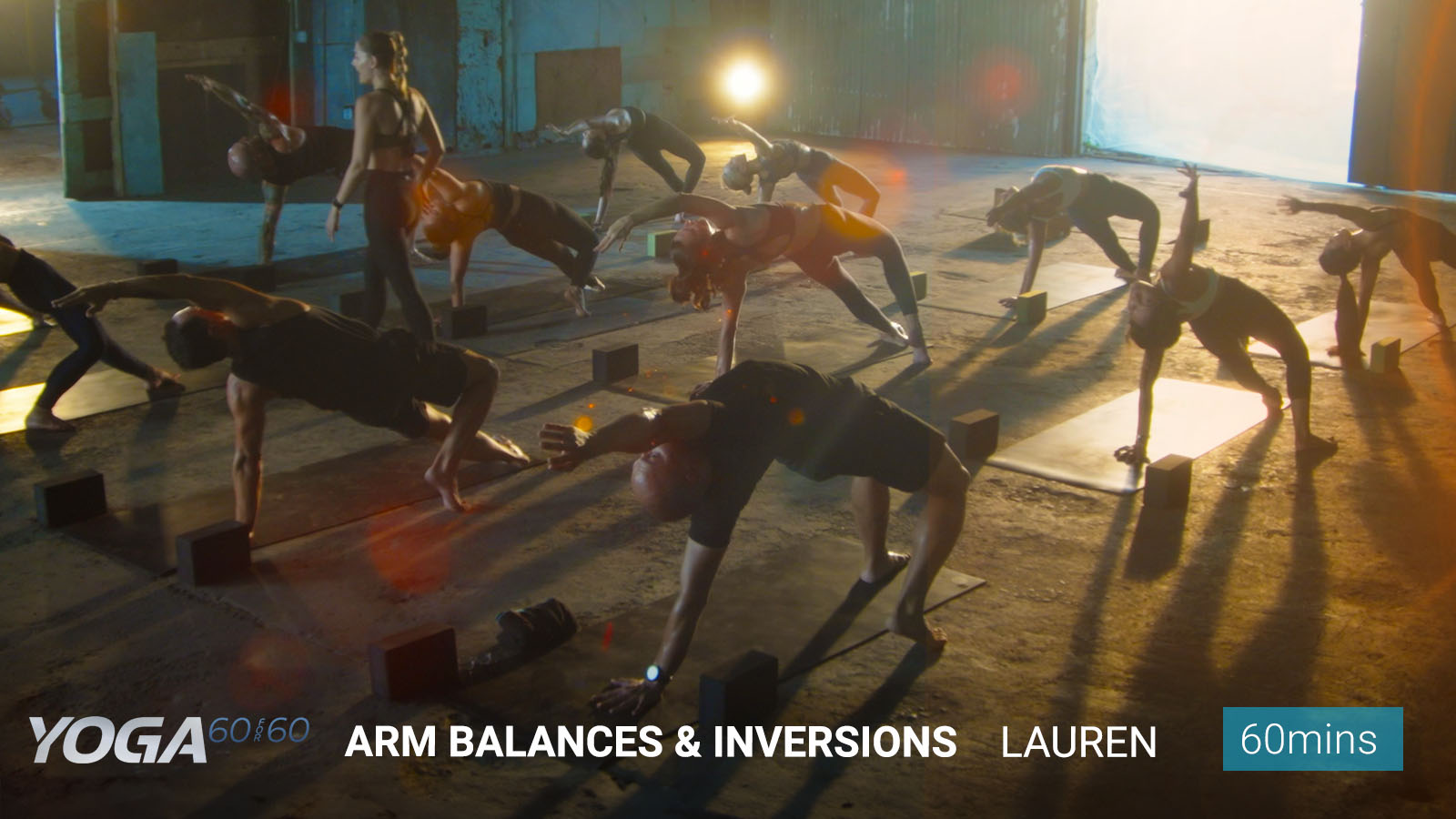 Y60 Arm Balances and Inversions - Inner Dimension